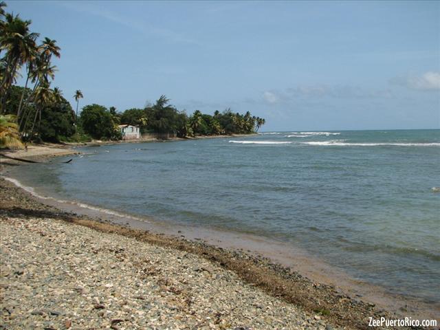 ZeePuertoRico.com - Guardarraya Beach